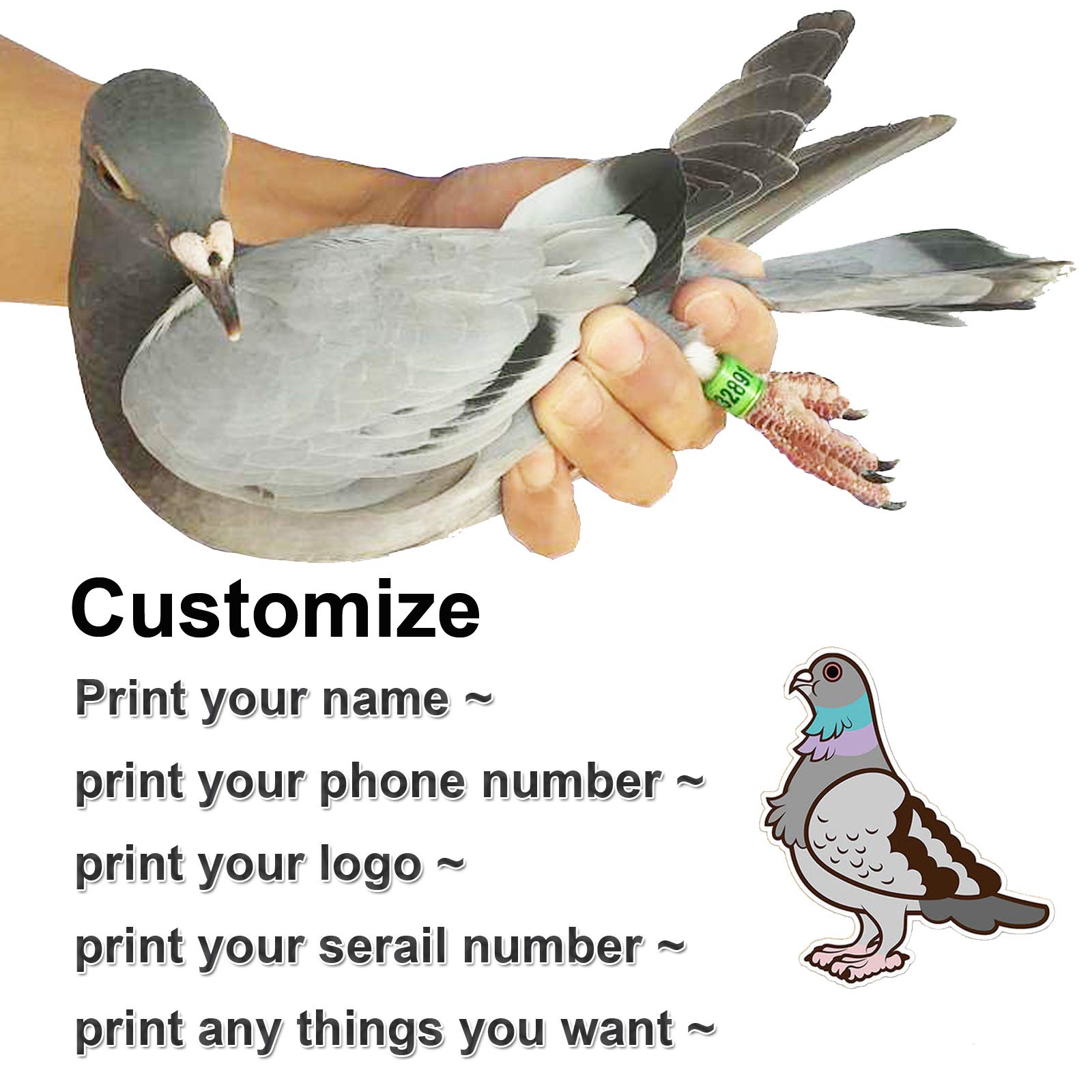 Pigeon Ring Customized Pigeon Band Personal Print 2021 Pigeon Foot Ring Leg ring Leg band 100pc