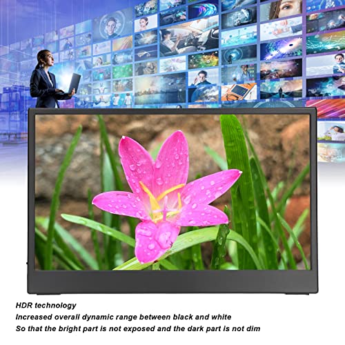 VINGVO 13.3 Inch Laptop Monitor, HD Multimedia Interface HDR 1440P IPS Portable Gaming Monitor Double Speaker for Office for Computer (US Plug)