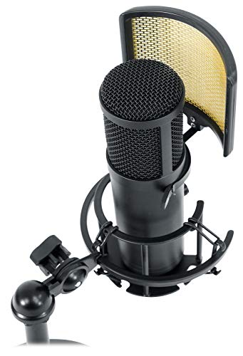 Rockville Solo-Cast Pro 24 bit 192Khz USB Computer Microphone PC Zoom Mic+Stand Bundle iSTAND 85 Dual Desktop Boom Arm Stand