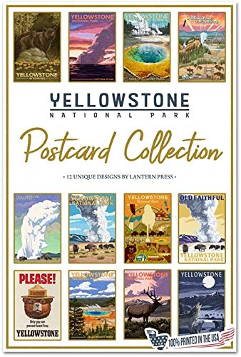 Lantern Press Yellowstone National Park - Postcard Set of 12 Different Original Hand Illustrated Postcards