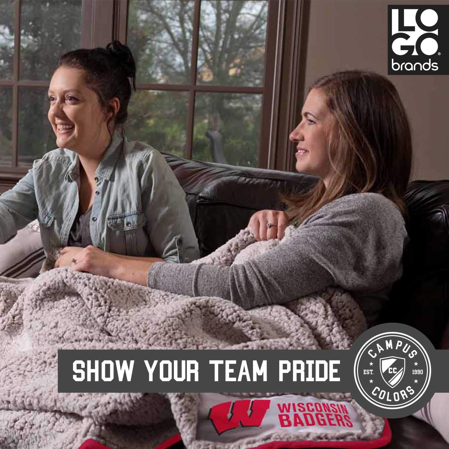 Logo Frosty Fleece 60 X 50 Blanket (Wisconsin Badgers - Multicolor)
