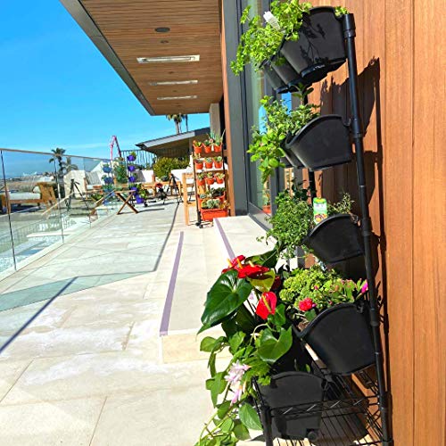 Watex Mobile Green Wall (Single Frame, Black), BPA Free Planters