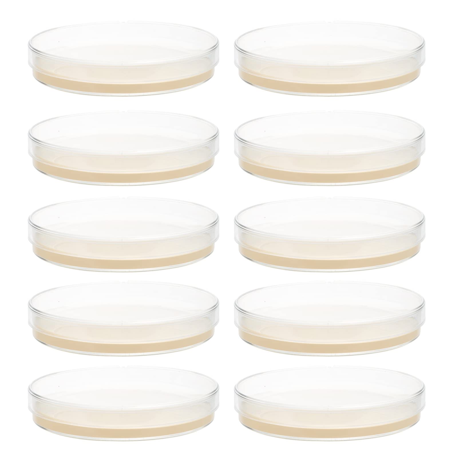 UKCOCO Agar Plates- Petri Dishes for Mushrooms, Molds, Pre- Poured Agar Plates for School Science Projects Seeding Biological Laboratory Equipment Educational Science Fair Project Kit 10pcs 90 x 90 mm