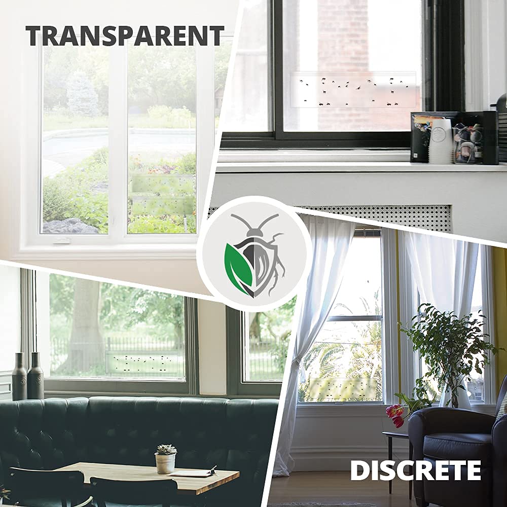 Window Fly Traps β 12 Pack | Transparent Sticky Fly Trap for Windows | Discrete, Extra Large Insect Glue Trap and Indoor Bug Catcher for House Flies and Other Flying Insects