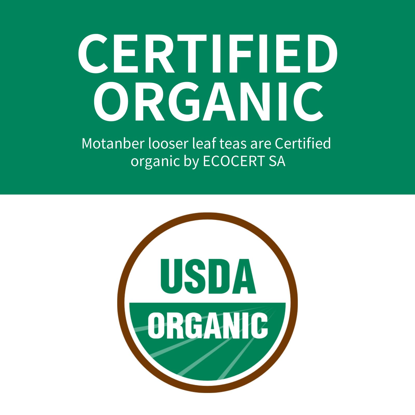 Motanber Jasmine Cup Tea - Paper Cup Instant Tea, Jasmine Green Tea Flavor, Camping cup tea,portable tea,food grade paper cup with tea,1 cup with 2g tea(10 Cups) (Jasmine)