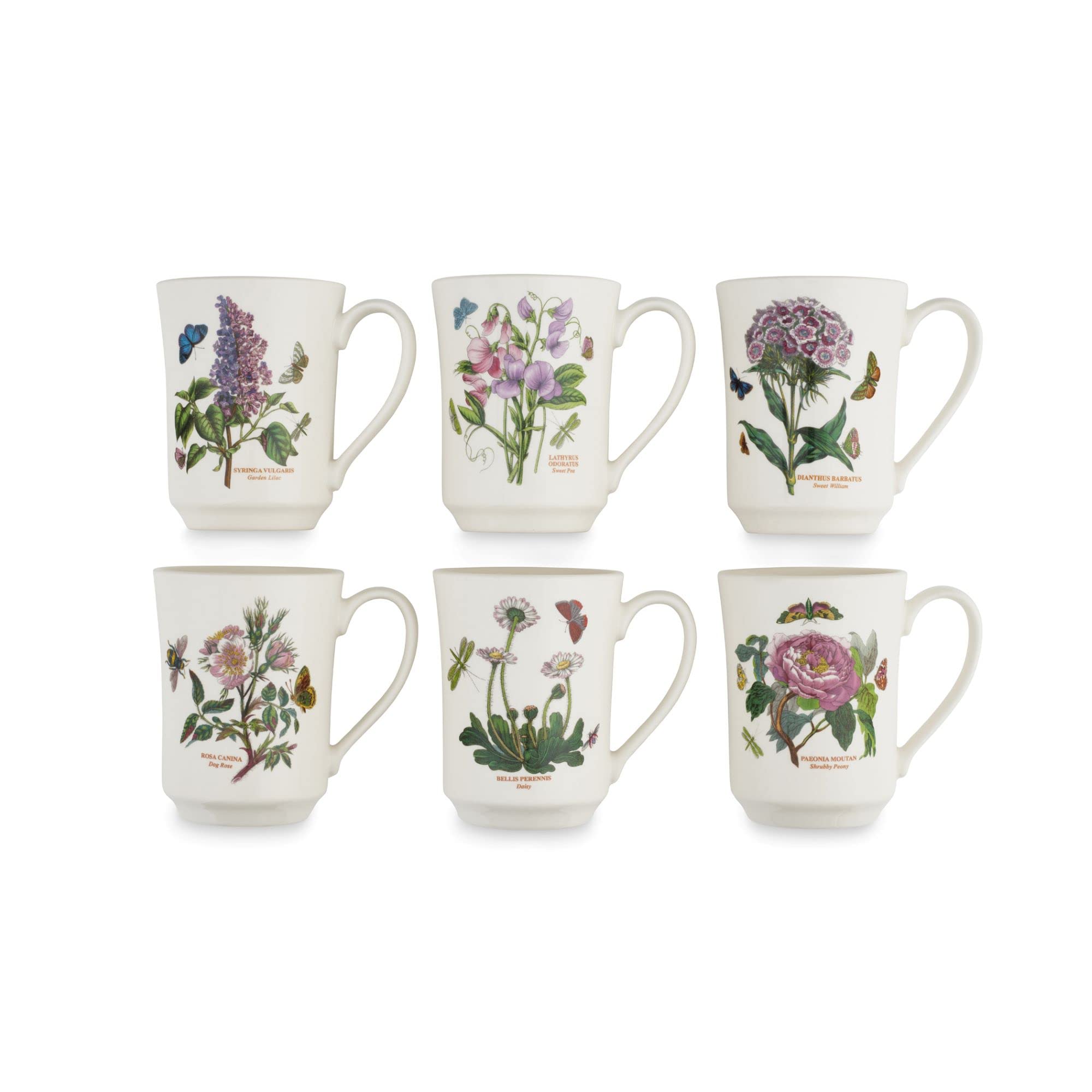 Portmeirion Botanic Garden 14 Ounce Flared Tankard Mug Set of 6 Assorted Motifs