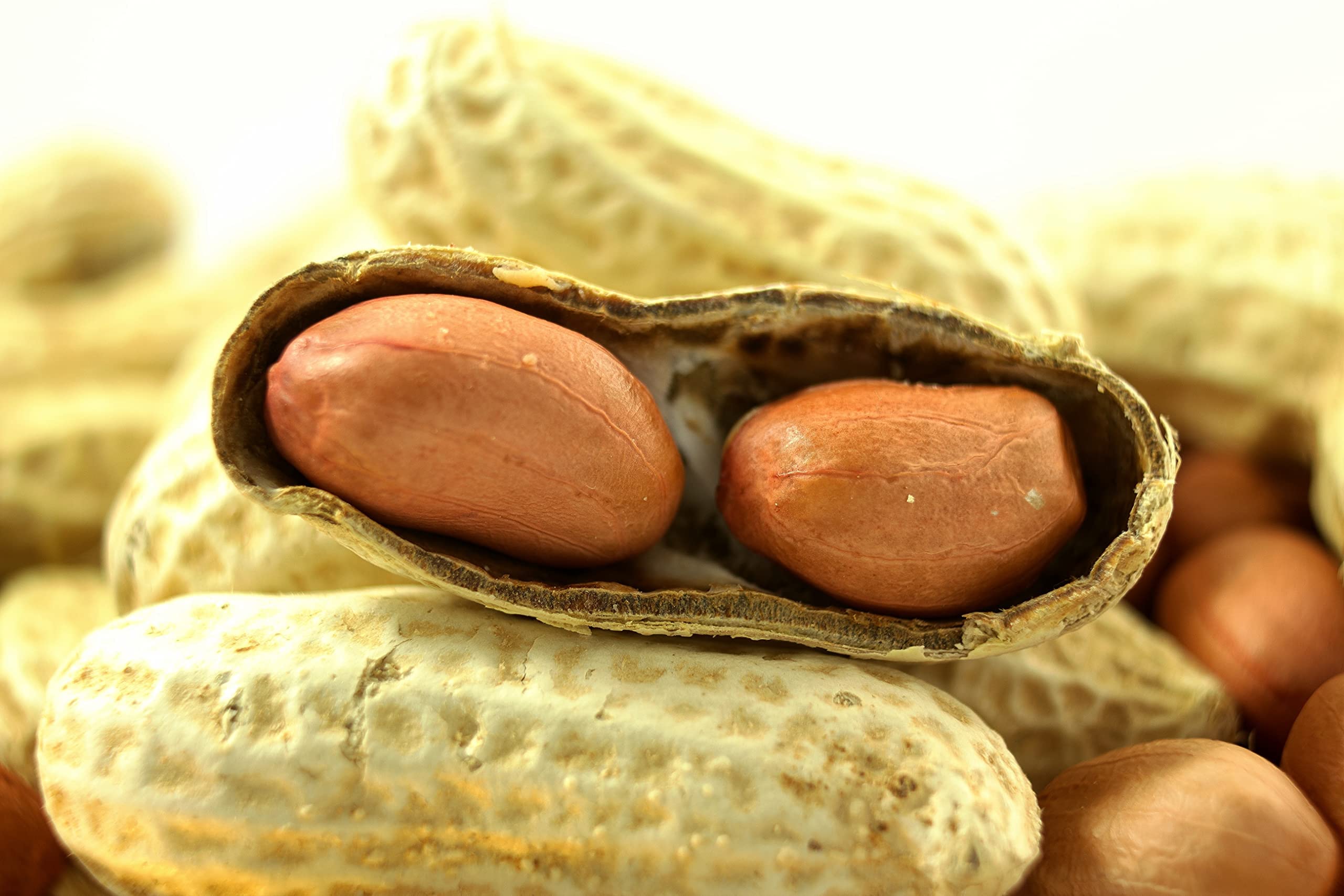 Wakefield Extra Large Virginia Peanuts for Animals, 25 LBS