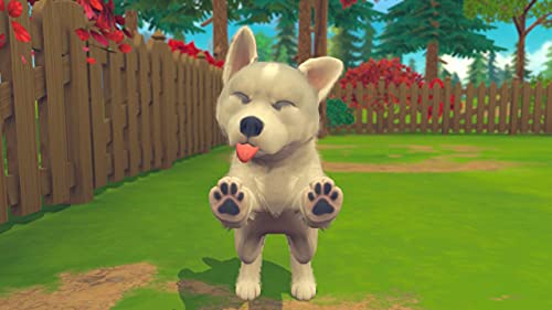 My Universe: Puppies and Kittens Nintendo Switch