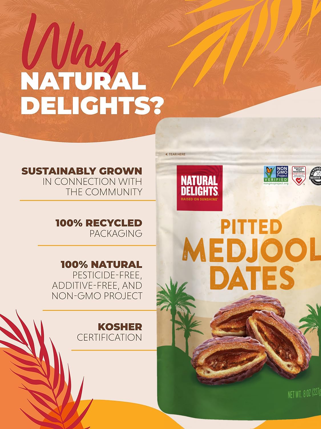 Natural Delights Medjool Dates – Large & Plump Pitted Dates Medjool, Non-GMO Verified, Pesticide Free, Naturally Sweet Fruit Snack, Perfect for On-the-Go - Medjool Dates Pitted, 8 oz Bag