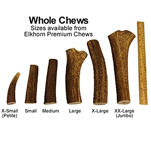 KodaBear Co Premium Whole Elk Antler Dog Chew, 100% Naturally Shed, USA, Med (4.5”- 7”)