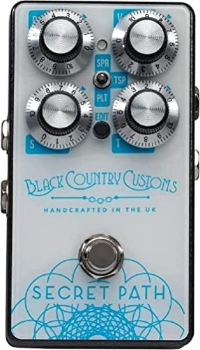 Laney Electric Guitar Single Effect, Black (BCC-Secret Path)