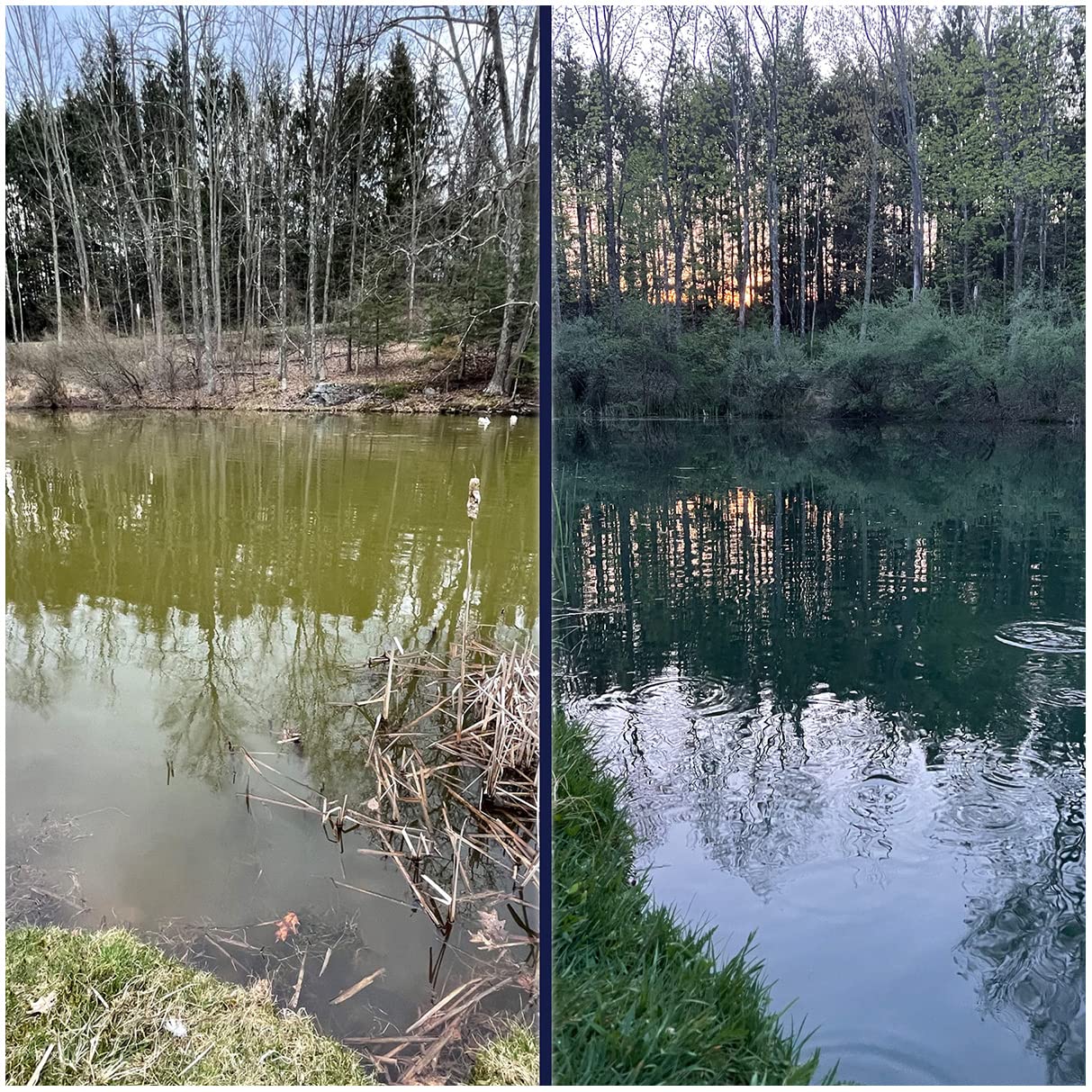 Natural Waterscapes Pond Dye - Midnight Blue Super Concentrate- 1 Quart Treats 1 Acre up to 6 Feet Deep, Dark Natural Looking Blue Pond Dye- Mix of Bright Blue Dye and Black Dye (1)
