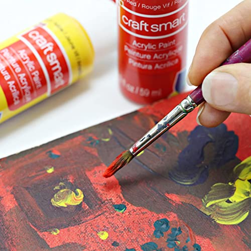 MICHAELS 16 Color Matte Acrylic Paint Value Pack by Craft Smart®