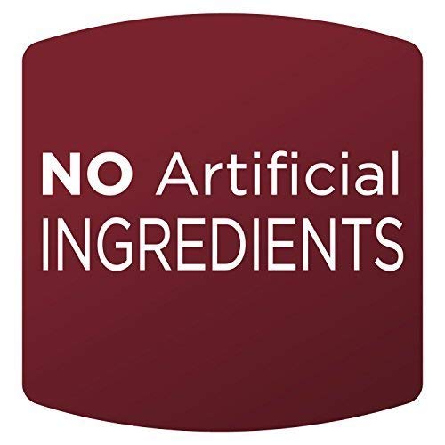 Orchard Valley Harvest Salad Toppers Glazed Pecans with Cranberries and Pepitas, 0.85 Ounce Bags (Pack of 15), Salad Toppings, Non-GMO, No Artificial Ingredients