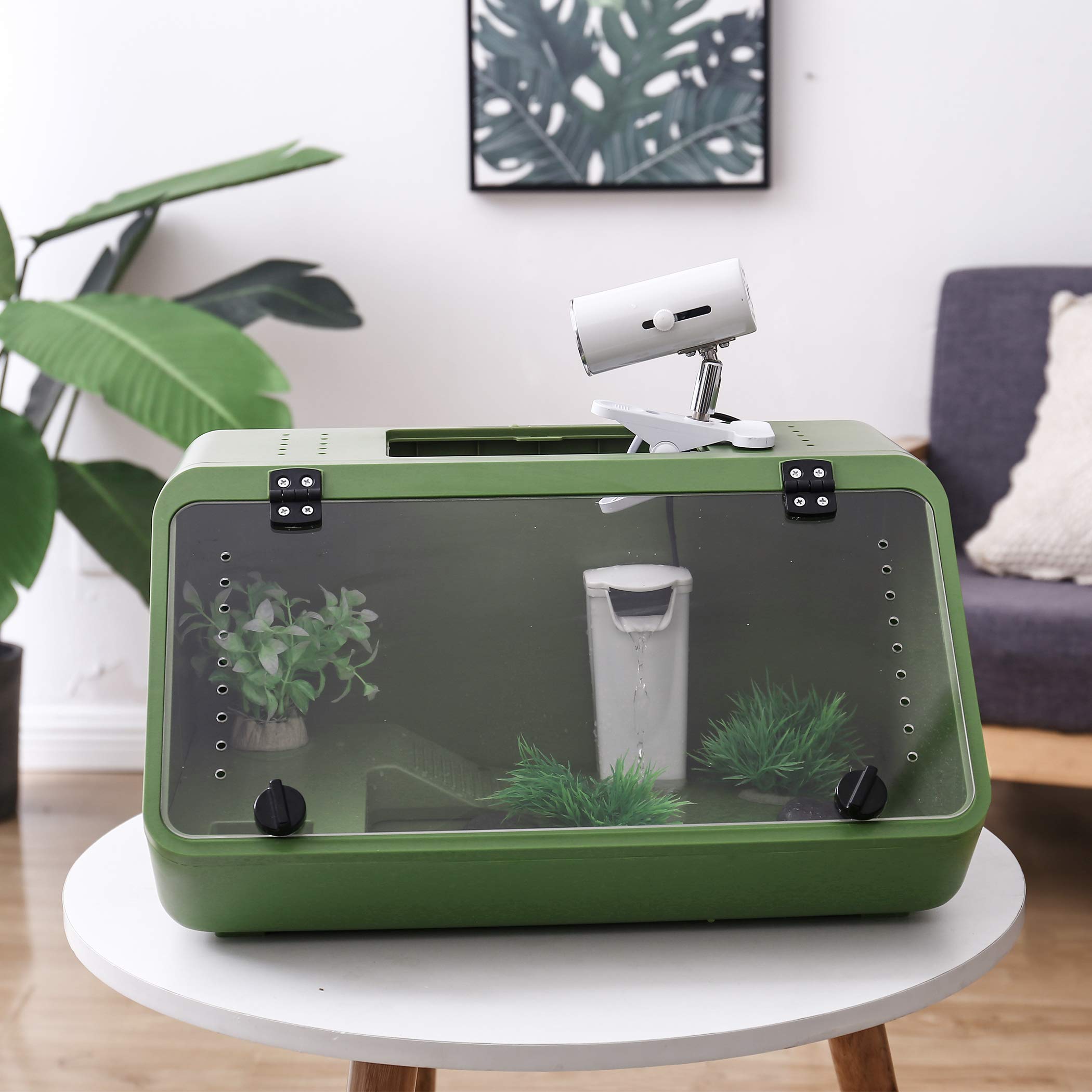 Large Reptile Tank – An Aquarium with a See-Through, Easy Access Front Panel Door | Habitat for Small Reptiles like Young Bearded Dragons, Lizards, Small Snakes and More |19''x10''x10'' with Food Tray