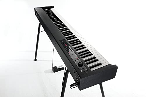 Korg D1 88-Key Stage Piano Controller