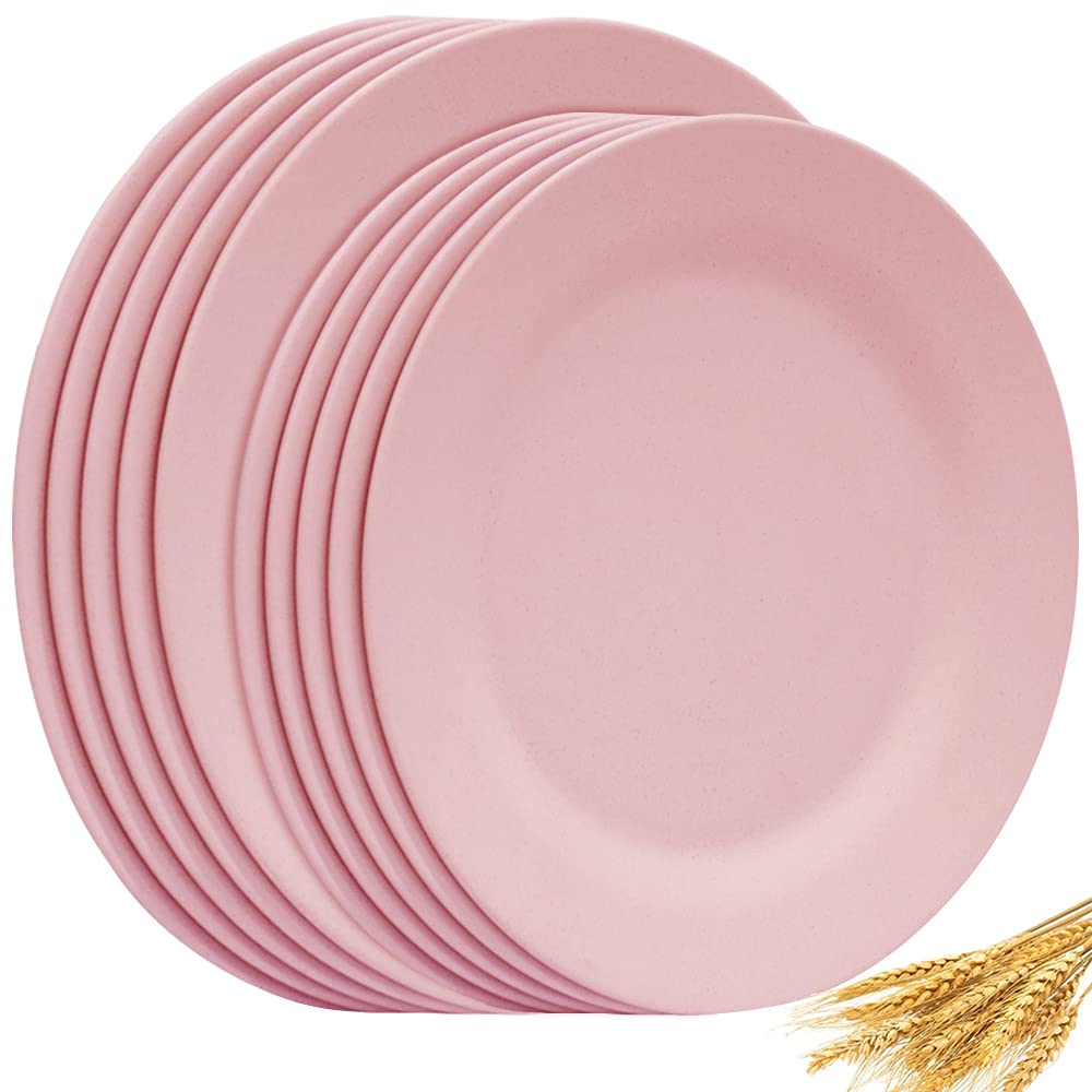 NA 10" 11" Dinner Plates Set of 10, Reusable Wheat Straw Dessert Dishes, Round Pasta Salad Serving Plate, Unbreakable Fiber Dinnerware for Party Steak Pizza (Pink)