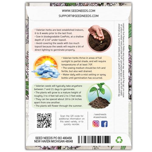 Seed Needs, Valerian Seeds - 450 Heirloom Seeds for Planting Valeriana officinalis - Medicinal Herb for Anxiety & Migraines, Non-GMO & Untreated (2 Packs)