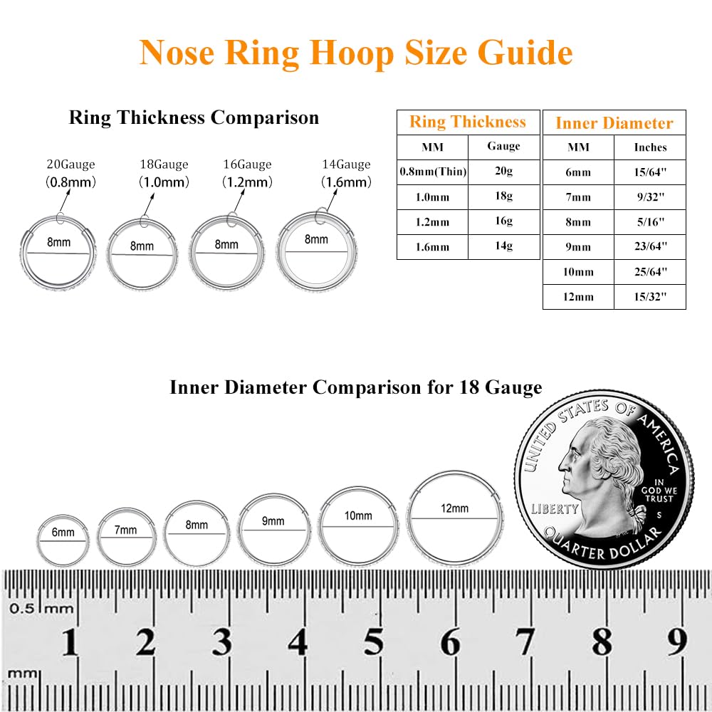 MissNity 316L Surgical Steel Hinged Nose Rings Hoop 18G Clicker Segment Septum Daith Helix Tragus Earrings Jewelry with CZ Gem, 18 Guage, Silver, 8mm