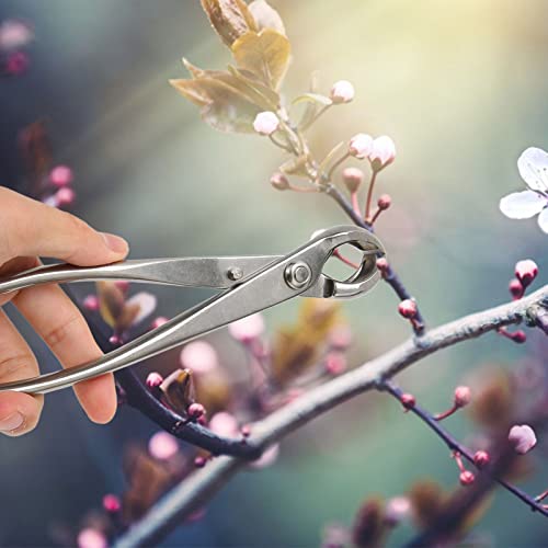 Tgoon Bonsai Cutter, 210mm Ergonomic Handle Branch Clipper Bonsai Styling Tool Professional High Strength for Bonsai Modeling for Branch Removal