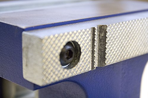 Yost Vises 855-D2 Industrial Grade Reversible Vise, 5.5", Blue