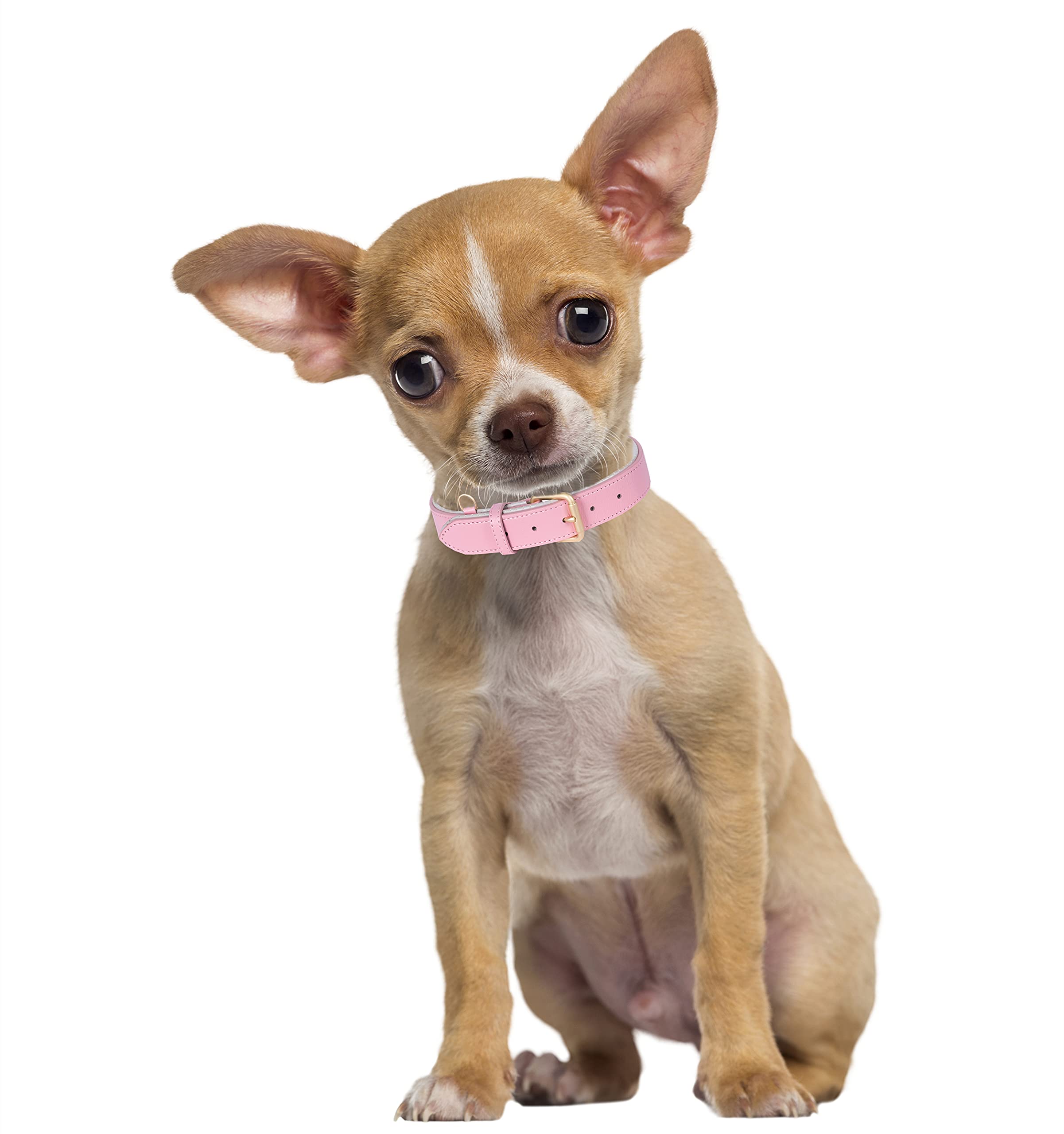 Poohoo Genuine Leather Dog Collar Soft & Breathable PU Leather Padded Metal Hardware Rust-Proof Heavy with Duty Dog Tag Ring for Medium Large X-Large Dogs (Medium, Pink)