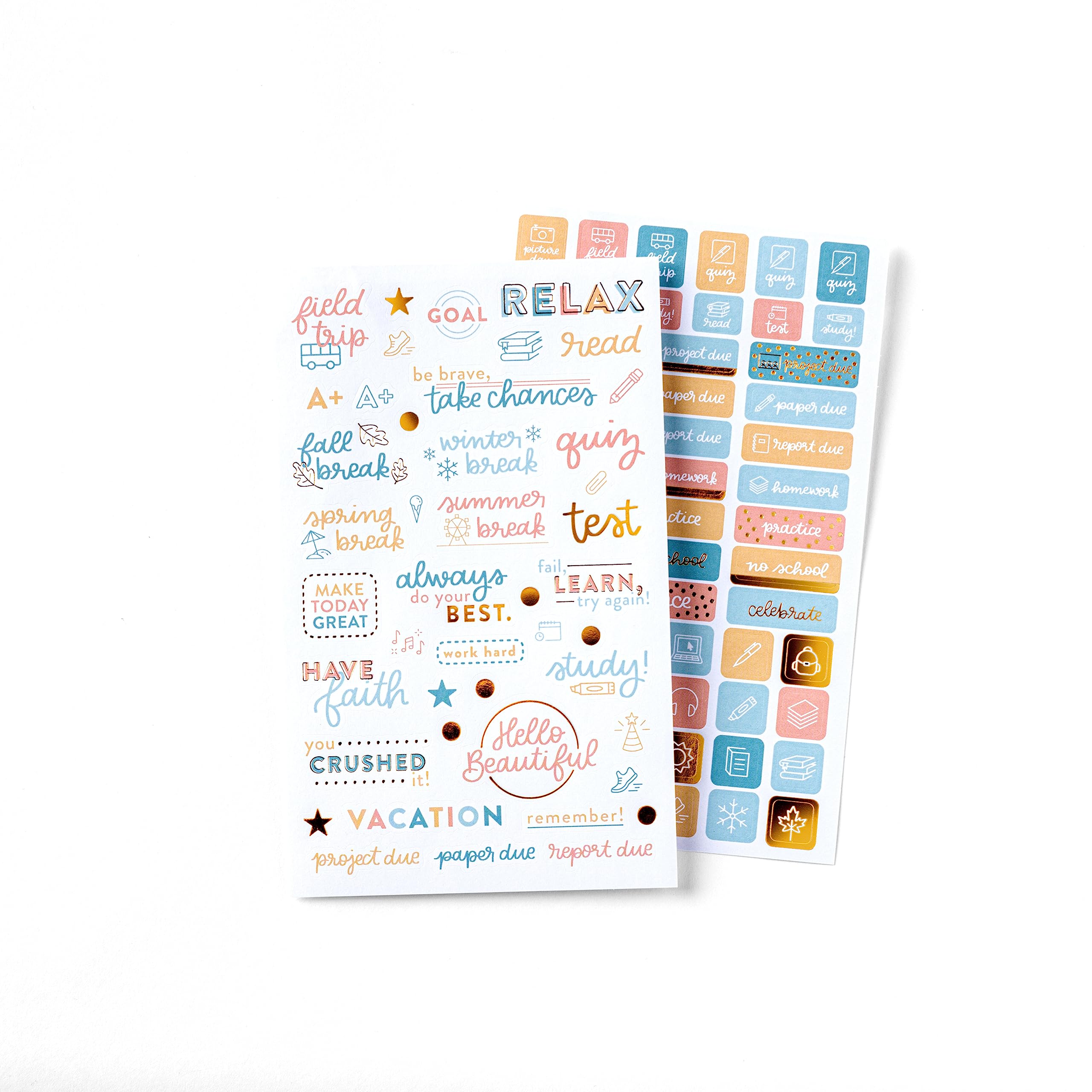 PPP Academic Planner 2023-2024 (Floral) - Student Planner | Weekly & Monthly Checklist | Class Schedule Layout | Budget & Savings Worksheets | Sturdy Coil Binding w/Stickers | Poly Laminated Coverā¦