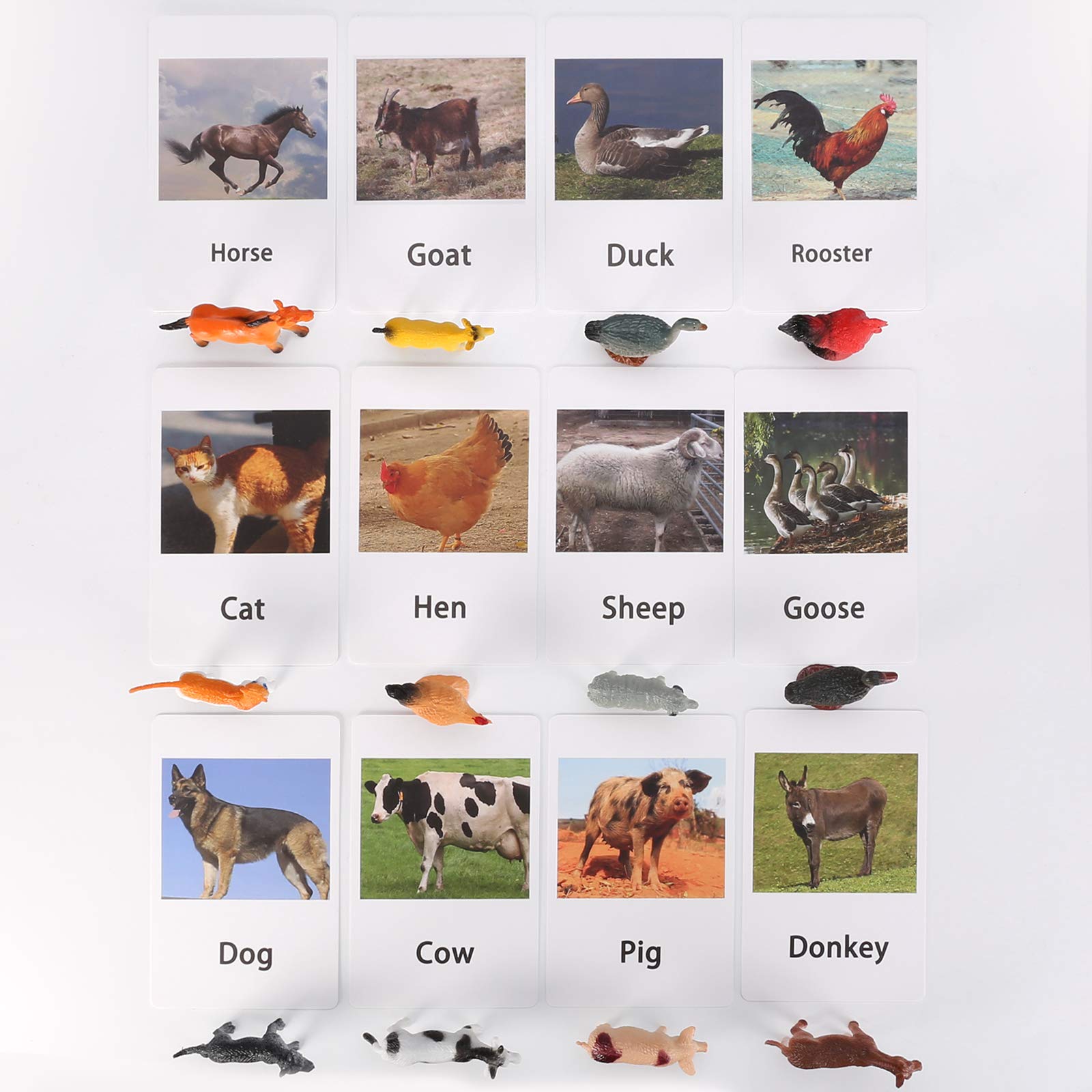 LOGANUSJ 48 PCS Montessori Marine Insects Poultry and Zoo Animals Figure Match 4 Sets - Matching Cards Montessori Language Materials Preschool Learning Toy, Language Materials, Shape Sorting Toy