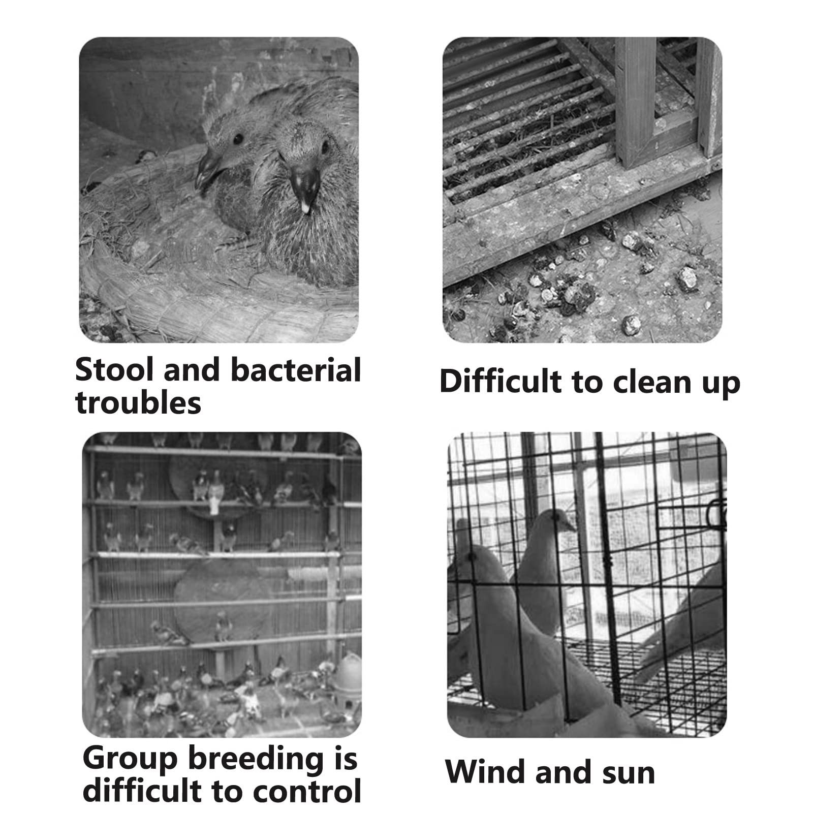 Pigeon Cage Plastic Pigeon Pairing Cage Bird Cage Pigeon Nest Box Carrier Combination Package Nest Solid Nest Rest and Pairing 32in