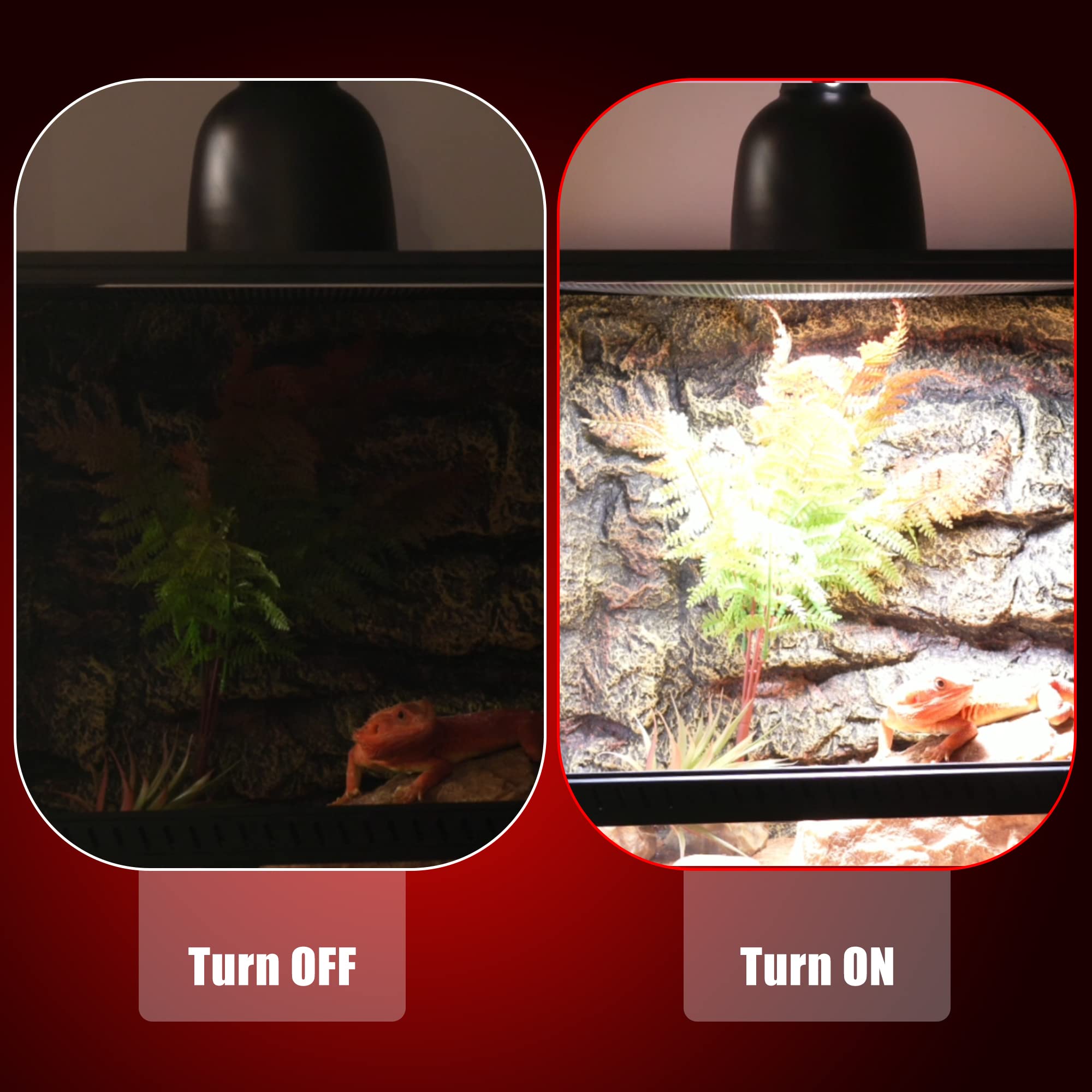 Makmzoon 2 Pack 100W Reptile Heat Lamp Bulb UVA Basking Spot Heat Lamp Reptile light tortoise light turtle Bulb for Animals Bearded Dragon