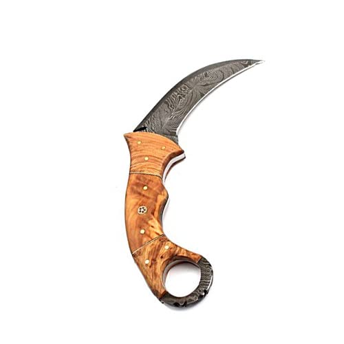LAJA IMPORTS®: BEAUTIFUL OLIVE WOOD 8.2" HANDMADE FIXED BLADE DAMASCUS STEEL HUNTING KNIFE LI-77