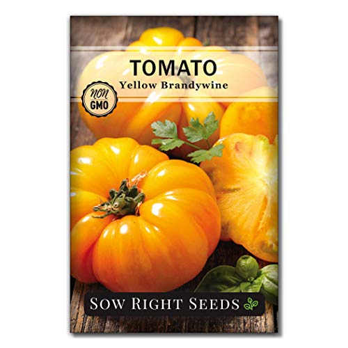 Sow Right Seeds - Yellow Brandywine Tomato Seeds for Planting - Non-GMO Heirloom Packet with Instructions to Plant a Home Vegetable Garden - Sunny Yellow Slicer with Sweet Flavor - Indeterminate (1)