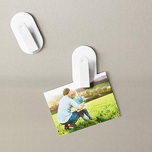 Spectrum Diversified Fridge Chip, Bag Refrigerator, Set of 2 Heavy Duty Magnets With Clip for Photos & Cards, No Size, White
