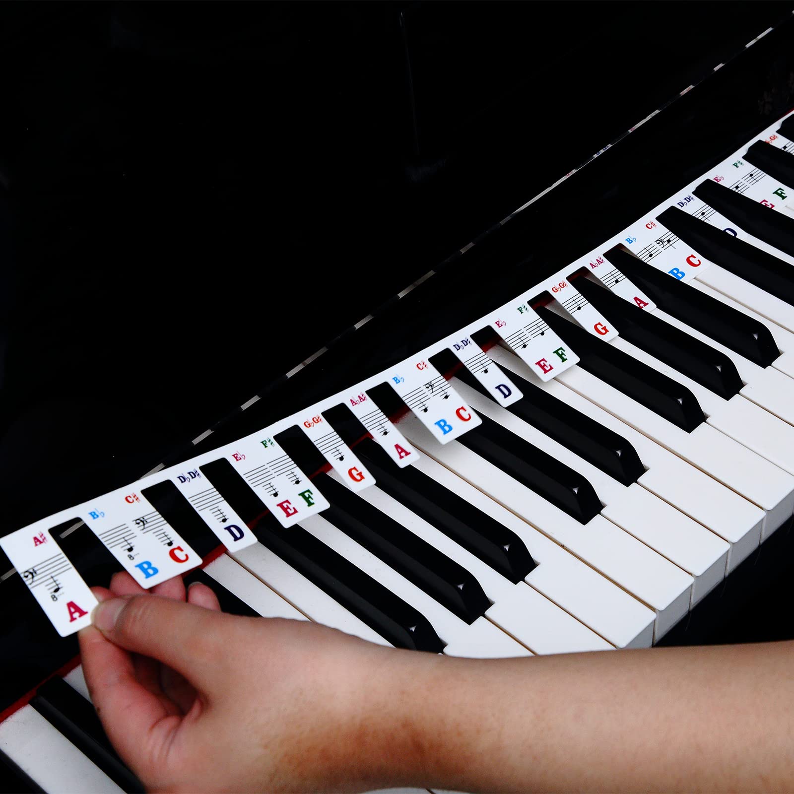 Piano Key Stickers for Beginners Kids 61/88 Full-Size Keys Piano Keyboard Rake Notes Marker Overlay with Case (61 keys)