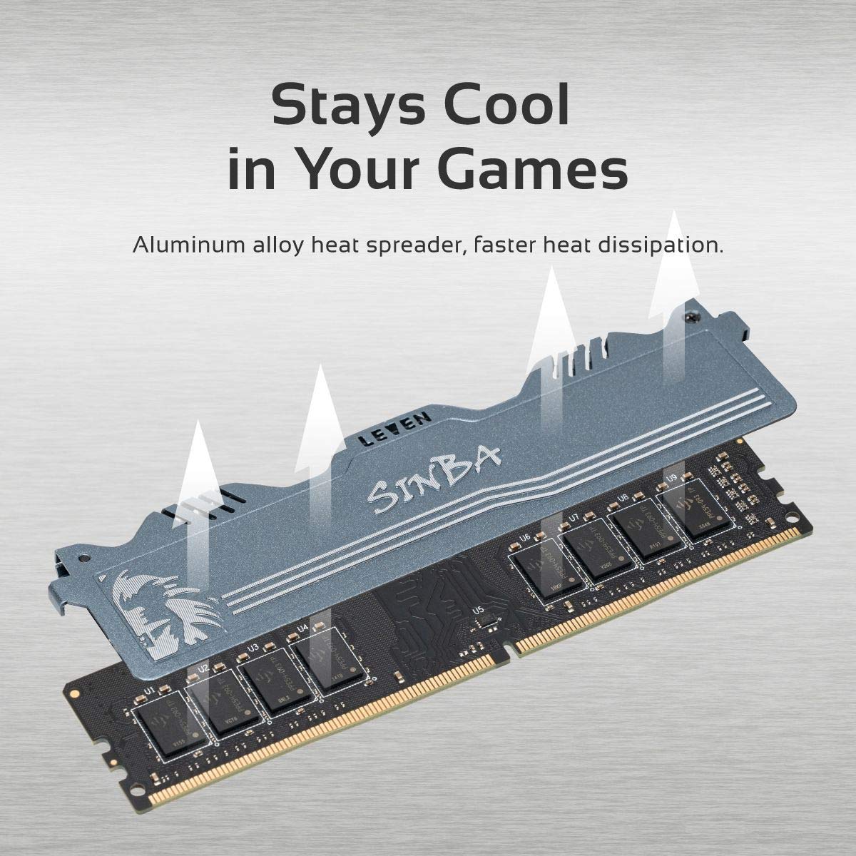 LEVEN SINBA 32GB KIT (16GBx2) DDR4 3000MHz PC4-24000 288-Pin U-DIMM CL16 XMP2.0 Overclocking Gaming RAM Desktop Memory Module- Gray(JROC4U3000172408G-16Mx2)