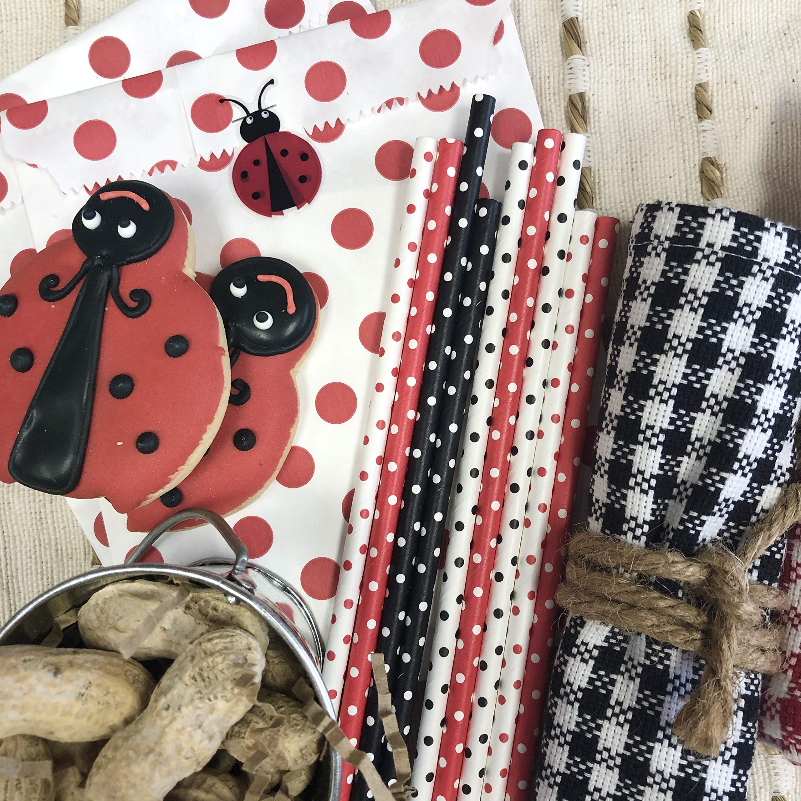 Paper Drinking Straws - Black Red and White Polka Dot - Ladybug Theme - 7.75 x .25 Inches - 100 Pack - Outside the Box Papers Brand