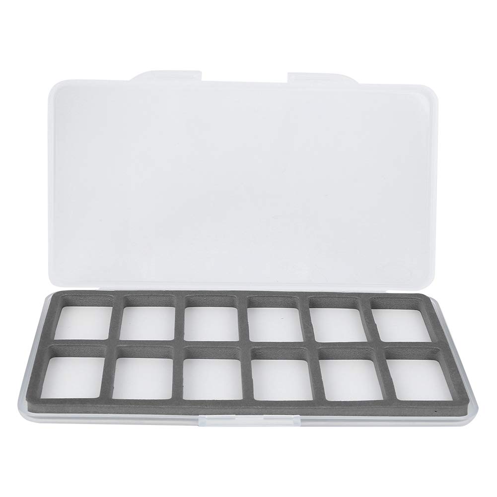 Ruining Fly Storage Box, Bait Case, Transparent with Foam Accessory Fishing Supply for Fishing for Lure Storage 12 Cells
