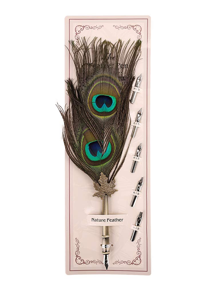 RUIXIA Vintage Feather Dip Pen Antique Calligraphy Handmade Quill Set Writing Ink with 5 Replacement Nibs for Christmas Birthday Wedding Anniversary Halloween Thanksgiving