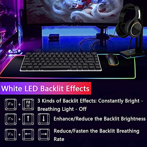 Mechanical Keyboard and Mouse Combo Wired 82 Keys White Backlit Gaming Keyboard Blue Switch, 12000 DPI with 12 Button Programmable Mice Compatible with Laptop PC Gamer Computer Typist Desktop