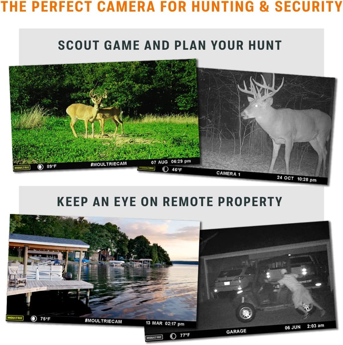 Moultrie Mobile Exo Cellular Trail Camera | Verizon | 18MP Resolution + Tree Mount