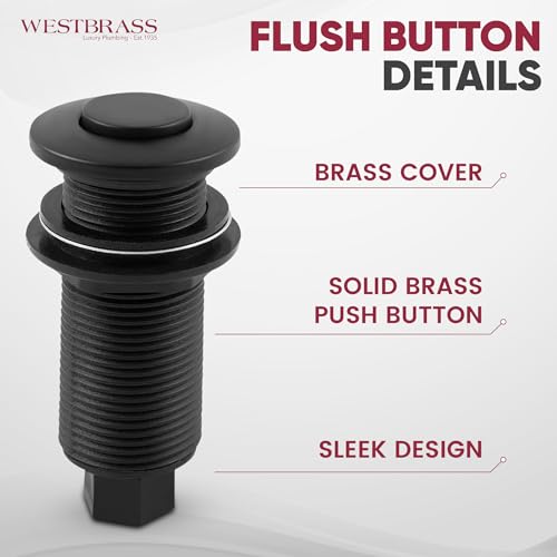 Westbrass ASB-2B3-62 Sink Top Waste Disposal Air Switch and Dual Outlet Control Box, Flush Button, Matte Black