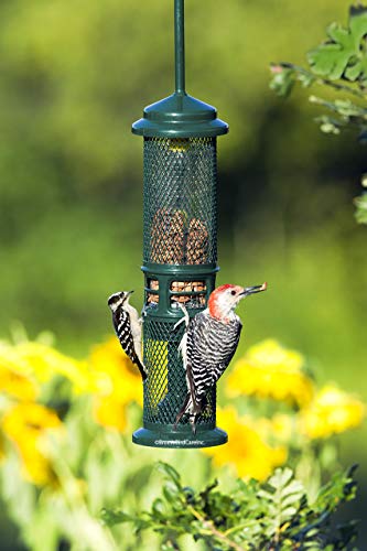 Squirrel Buster Nut Feeder Squirrel-Proof Bird Feeder for Nuts and Fruit, Two Meshes