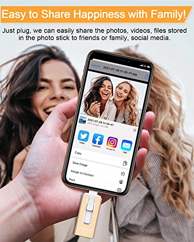Sunany USB Flash Drive 256 GB for Phone and Pad, High Speed External Thumb Drives USB Memory Storage Photo Stick for Save More Photos and Videos (Gold)