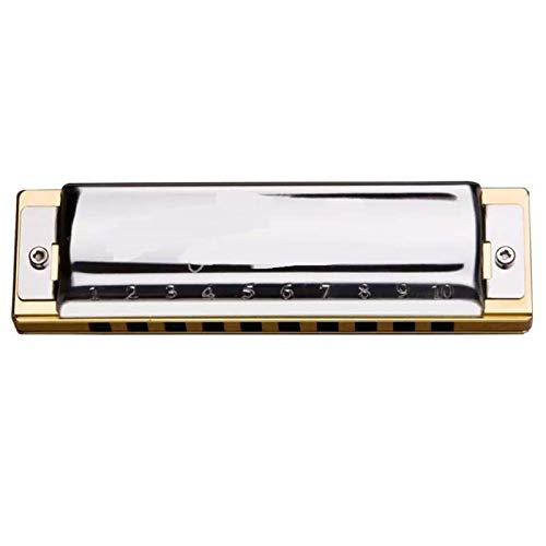 WAAZVXS Harmonica Blues Harp Diatonic Harmonica 10 Hole 20 Tone Musical Instruments Mouth Organ Key C