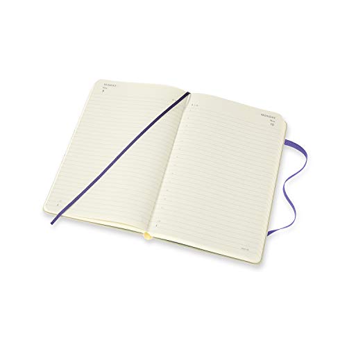 Moleskine Limited Edition Le Petit Prince 12 Month 2021 Daily Planner, Hard Cover, Large (5" x 8.25") Landscape