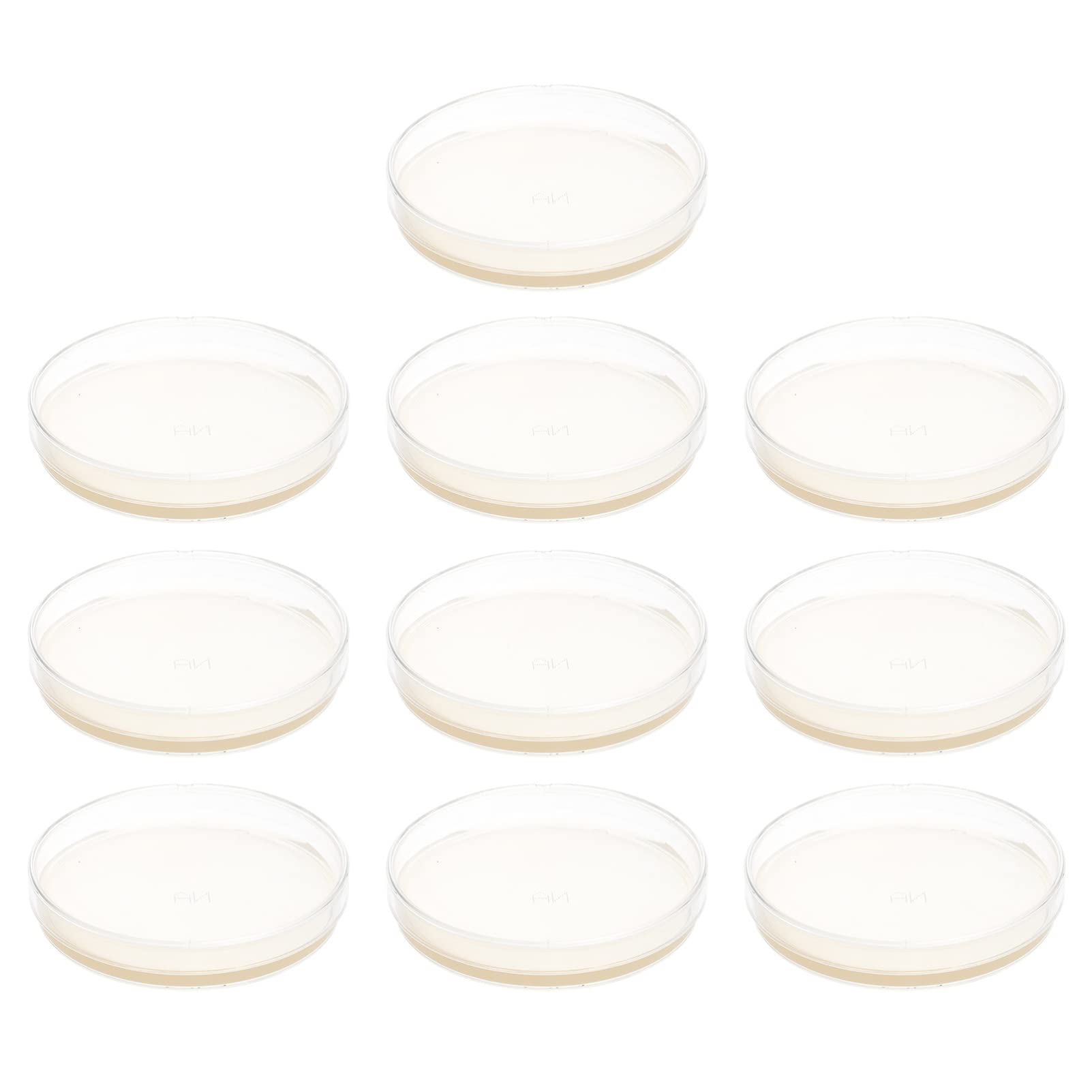 VILLCASE Agar Plates, 10pcs Laboratory Petri Dishes, Potato Dextrose Agar Plates, Pre- Poured Growth Medium for Mushrooms & Science Fair Projects (3.54X0.39inch)