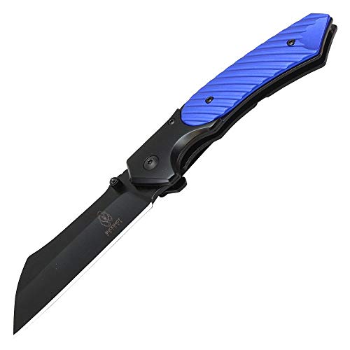 Wartech Buckshot Thumb Open Spring Assisted Stainless Steel Handle with Inlay Classic Razor Pocket Knife (PBK205BL)