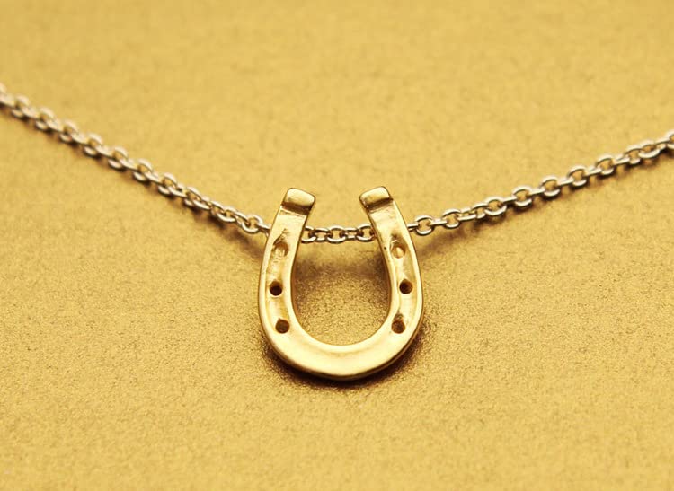 LANG XUAN Good Luck Horseshoe Pendant Friendship Chain Necklace with Meaning Card for Women Silver Gift