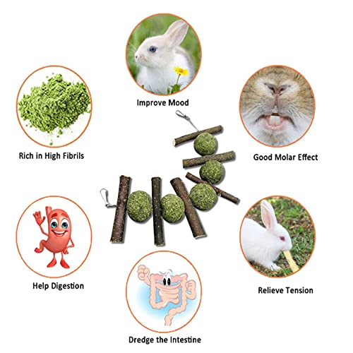 Xiaolanwelc Hamster Toys,Rabbit Toys,Rabbit chew Toys,Hamster chew Toys,Hamster Ball,Apple Sticks for Rabbits(9 Piece Set)