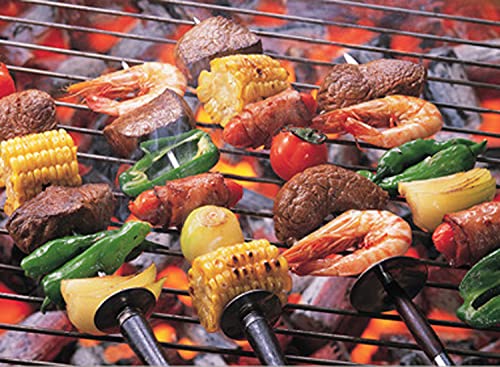 Xicennego Portable Charcoal Grill Outdoor Grill With Handle Foldable BBQ Grill For Picnic Beach Terrace Backyard Barbecue(Large)